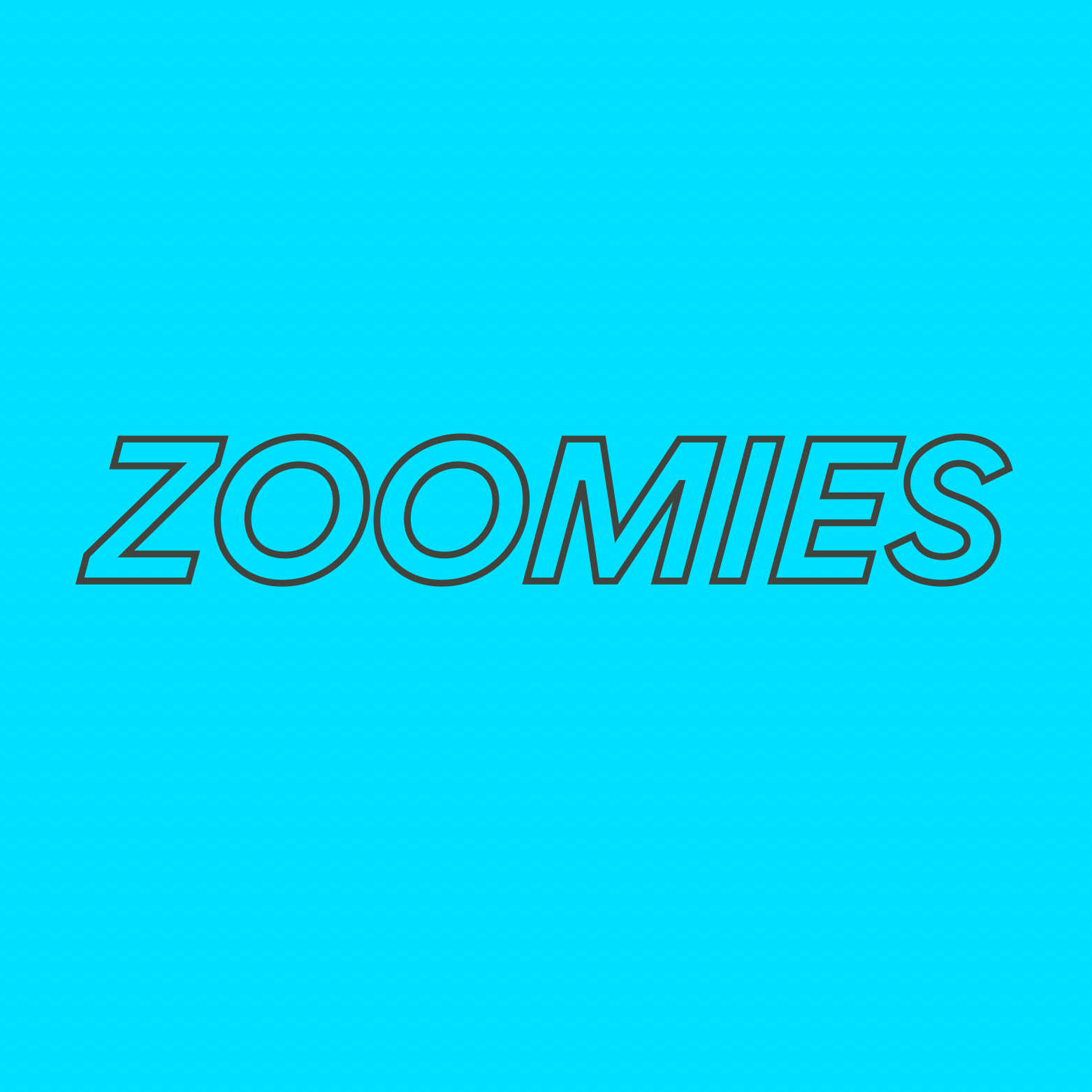 Zoomies Day Care Booking Form